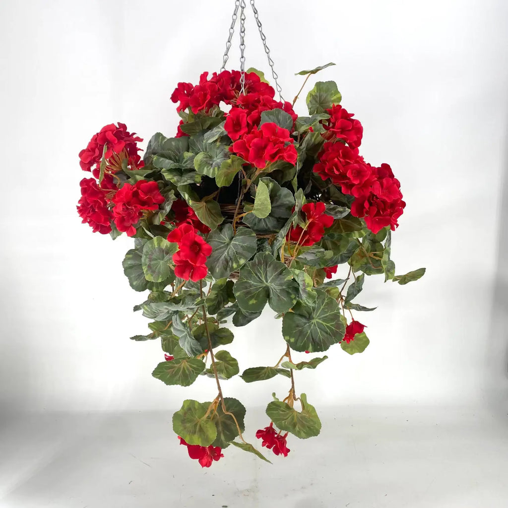 Geranium Red Hanging Basket – Evergreen